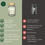 daily multivitamin for men