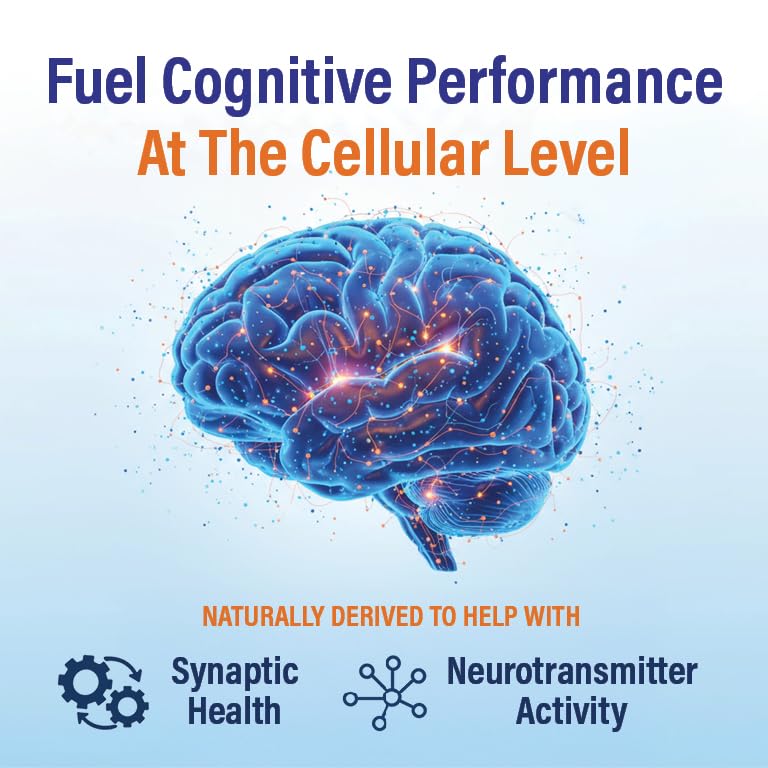 Daily multivitamin for optimal brain health