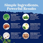 Daily multivitamin for prostate wellness