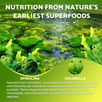daily multivitamin for women gummies