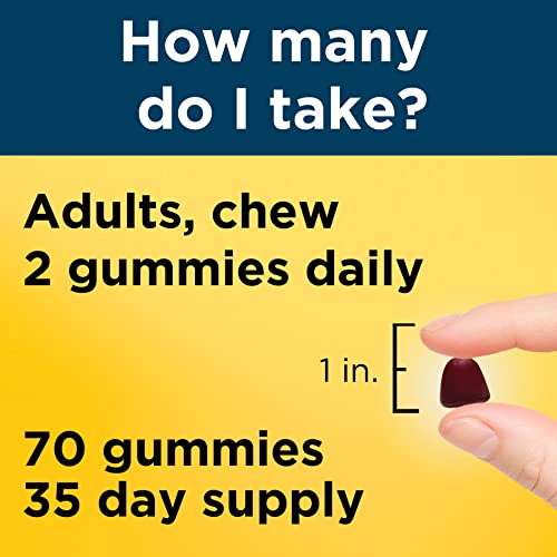 daily multivitamin support for men