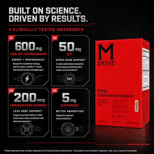 daily multivitamin support for men