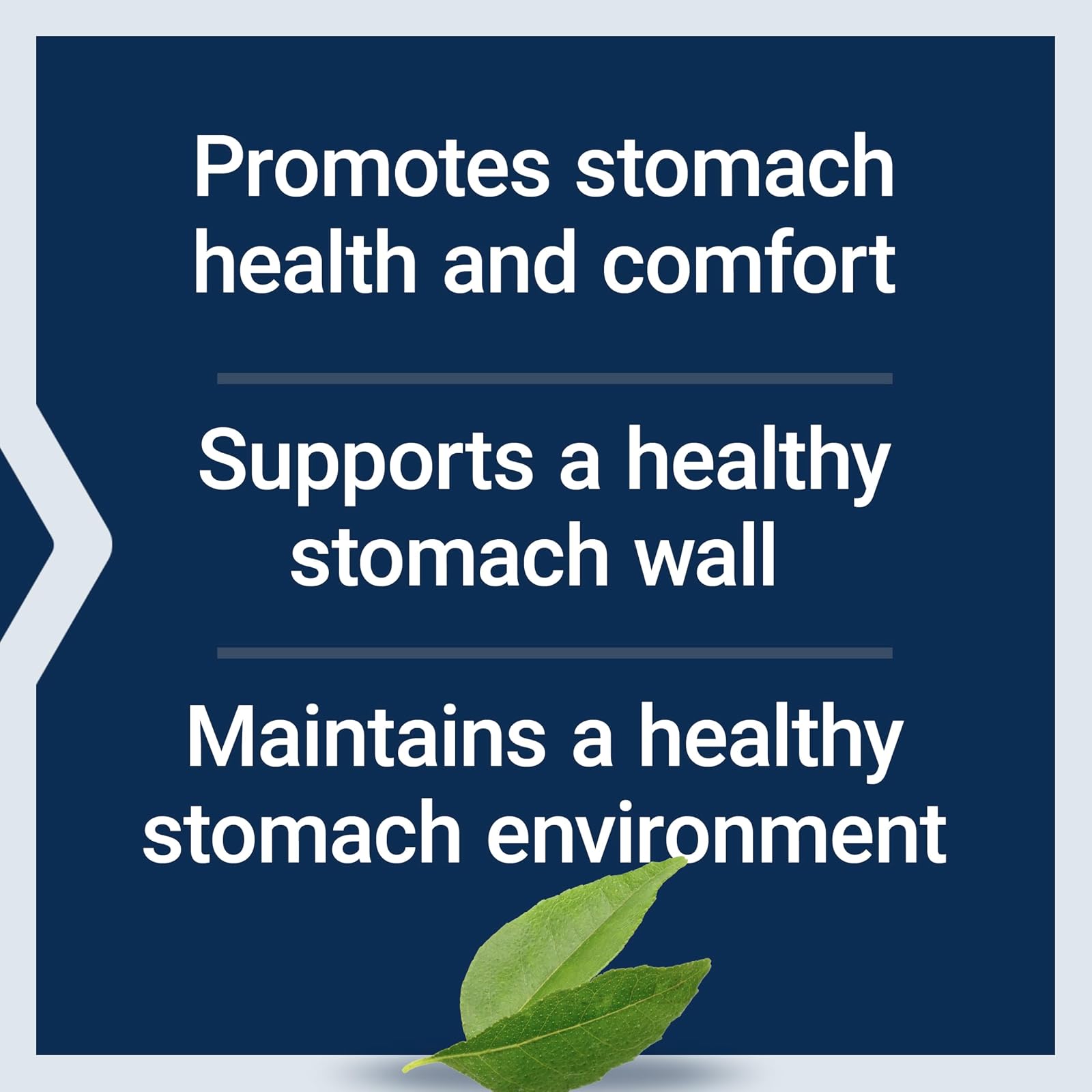 Daily multivitamin support for wellness