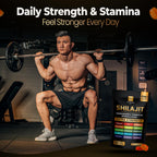 Daily multivitamins for active lifestyle