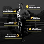 daily multivitamins for active lifestyle