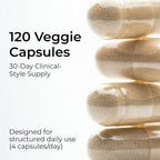 daily multivitamins for active lifestyle