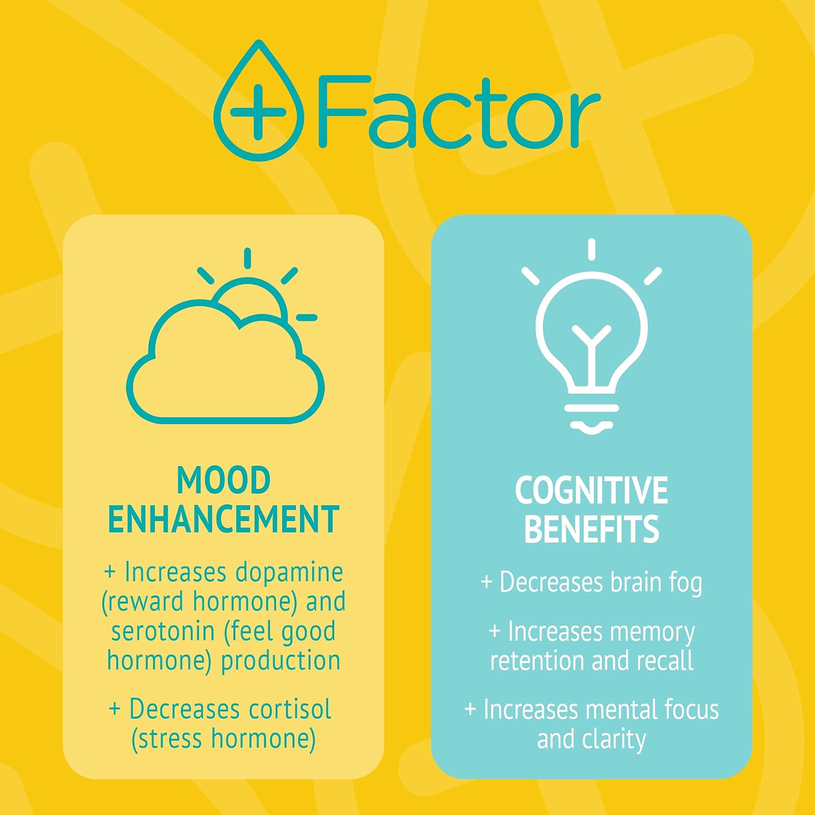 Daily multivitamins for active lifestyle