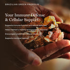 daily multivitamins for active lifestyle