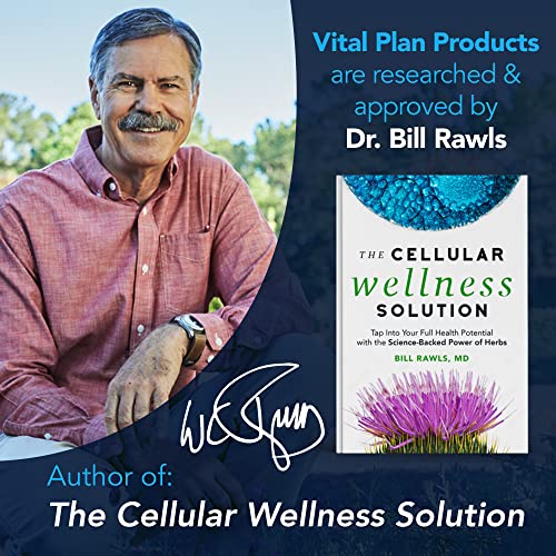 Daily multivitamins for digestive comfort