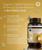 Daily multivitamins for energy boost