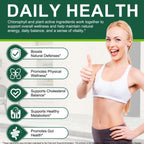 daily multivitamins for energy support