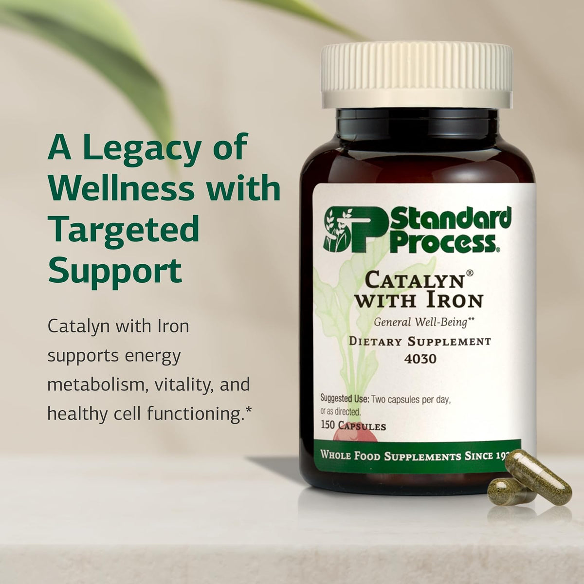 daily multivitamins for energy support
