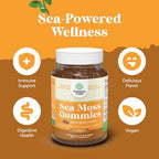 Daily multivitamins for immune support