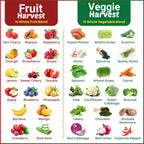 daily multivitamins for optimal health