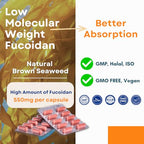 daily multivitamins for overall wellness