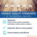 daily multivitamins for overall wellness
