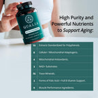 Daily multivitamins for overall wellness