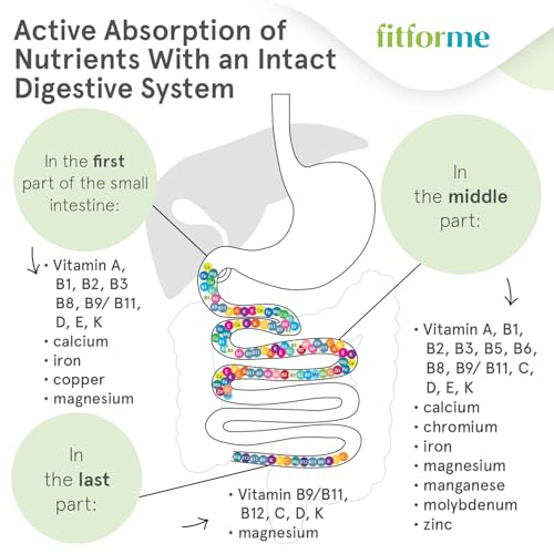 daily multivitamins for vitality