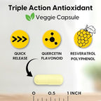 Daily multivitamins with NAD+ support