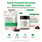 Daily mushroom complex supplement benefits