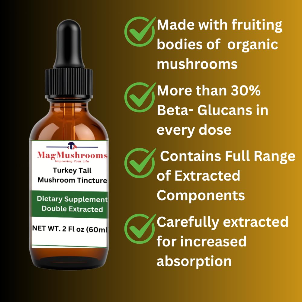 Daily mushroom extract for wellness support