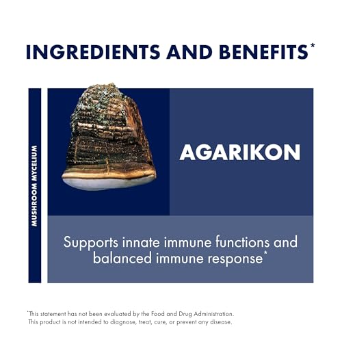 daily mushroom supplement for energy