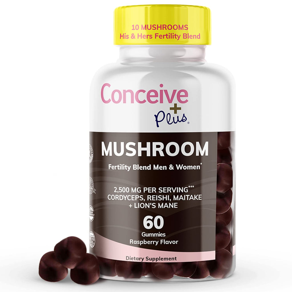 Daily mushroom supplement for energy