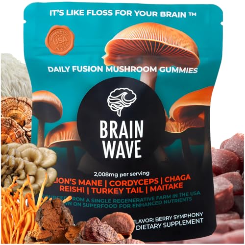 daily mushroom supplement for focus