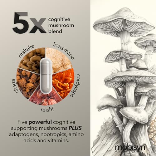 Daily mushrooms for improved concentration