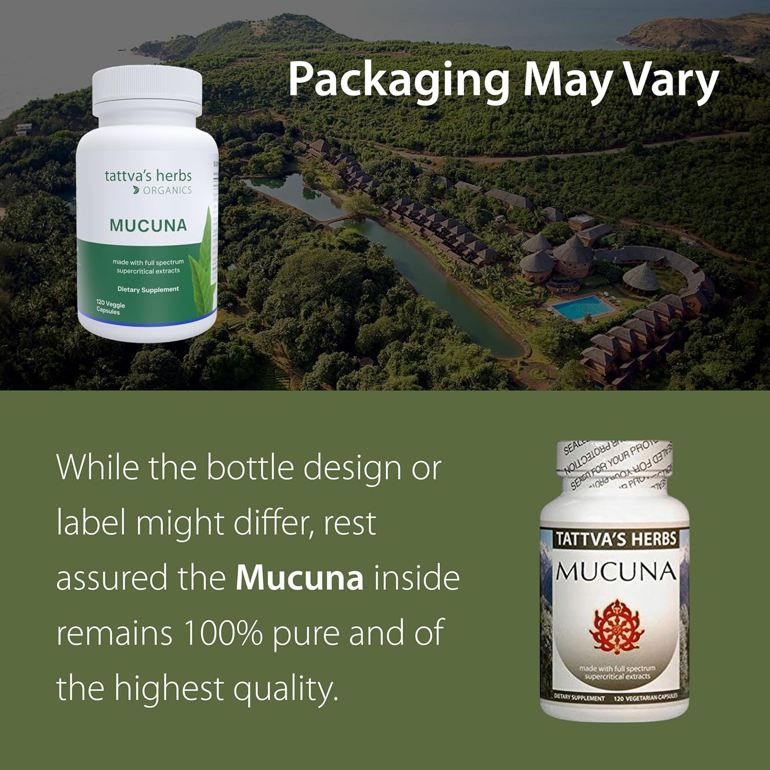 daily neuro-support supplement for wellness