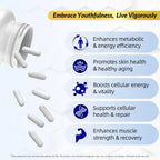 Daily NMN capsules for wellness