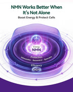 Daily NMN supplement for wellness
