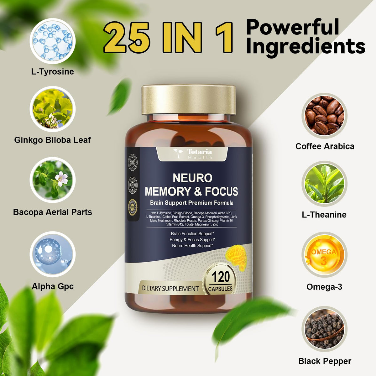daily nootropic with L-Tyrosine benefits