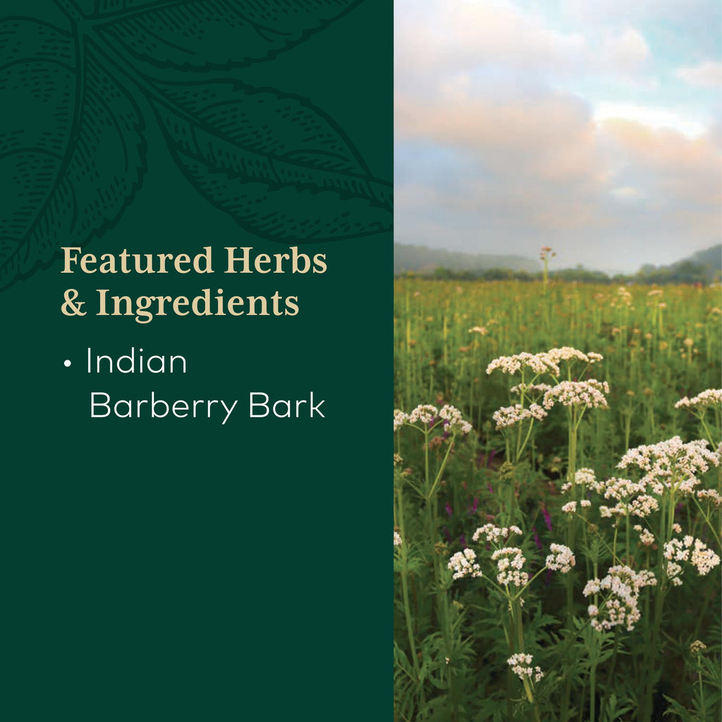 Daily nutritional support with Berberine