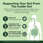 daily probiotic for balanced digestion