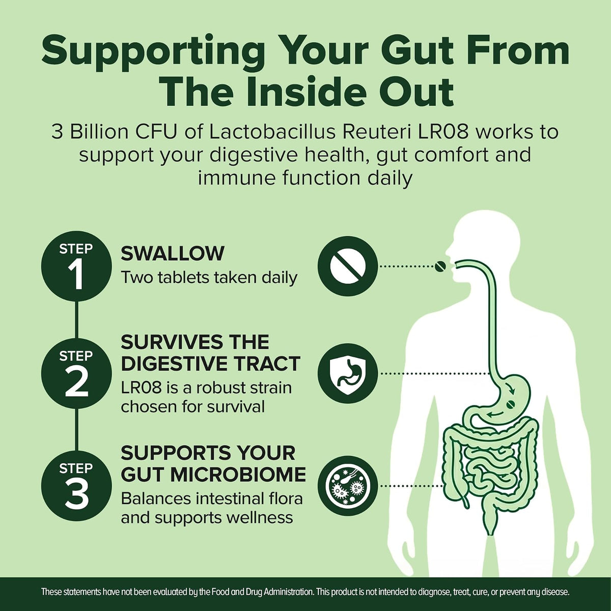 daily probiotic for balanced digestion