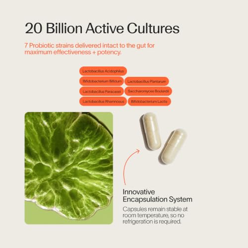 daily probiotic for digestive comfort