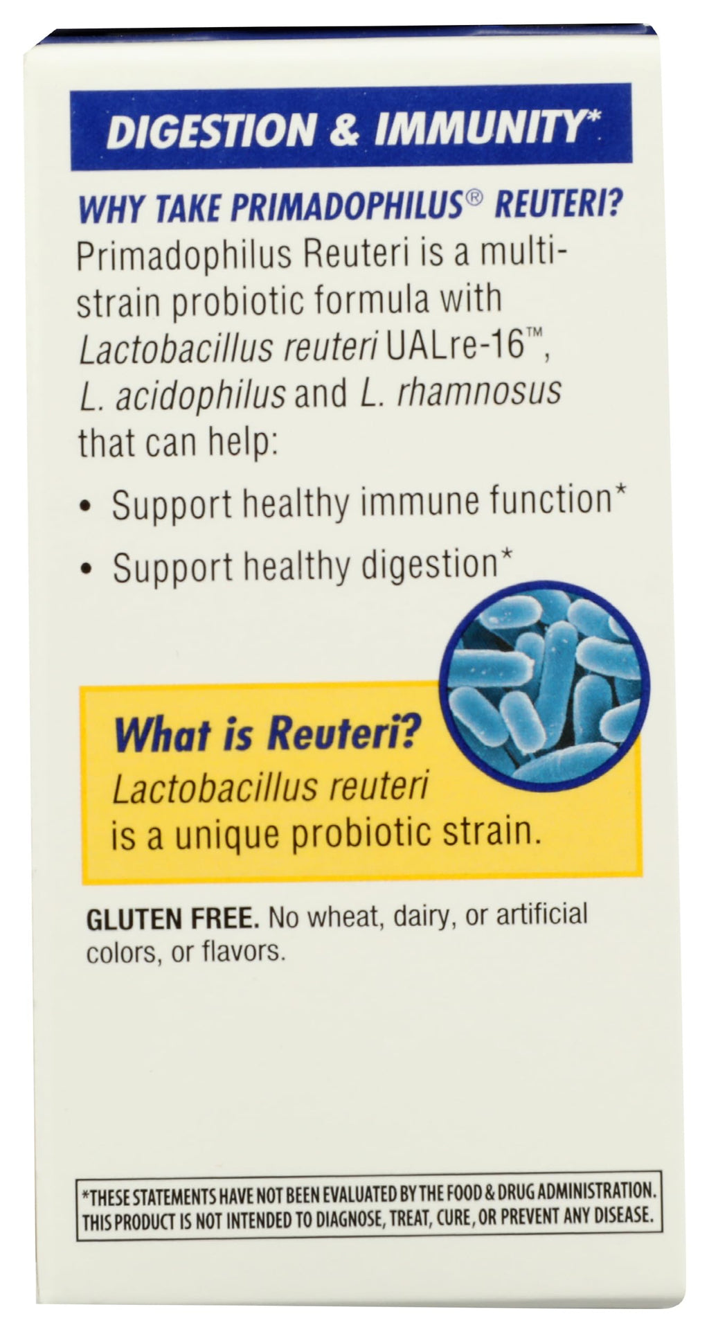 daily probiotic for digestive support