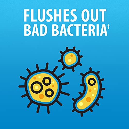 daily probiotic for immune support