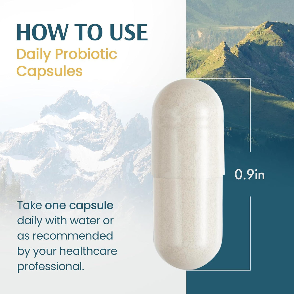 daily probiotic for immune support