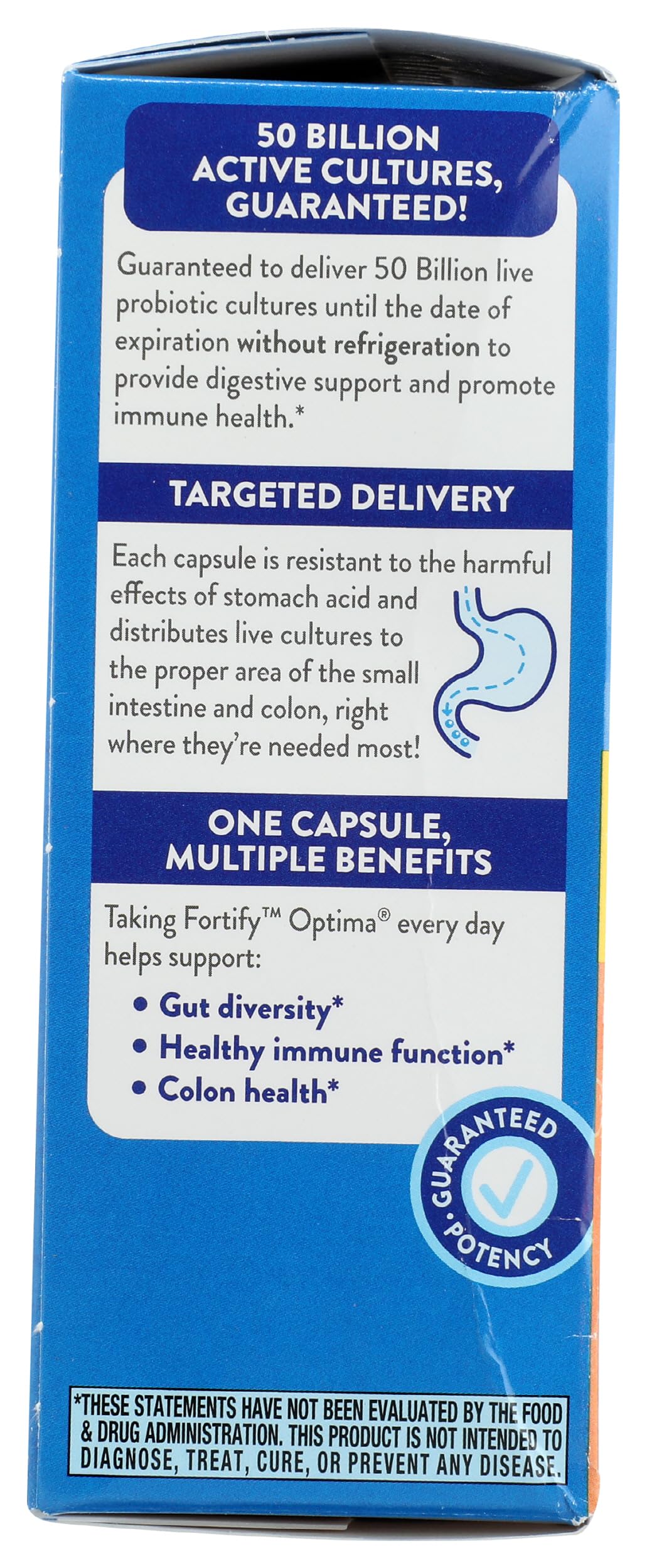Daily probiotic for immune support
