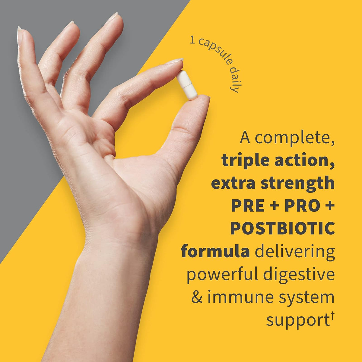 Daily probiotic for immune system boost