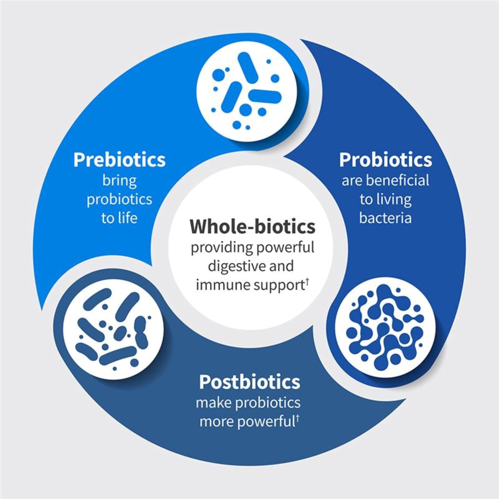 daily probiotic for women