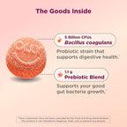 daily probiotic gummy for immune boost