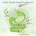daily probiotic powder for immune boost