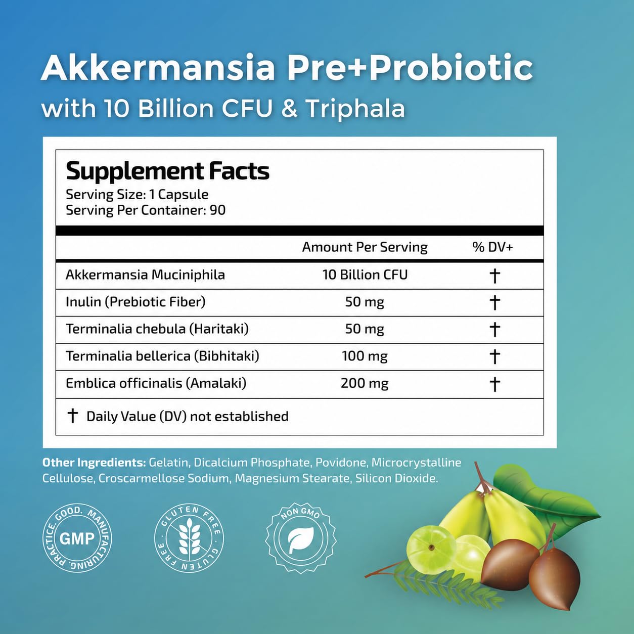 daily probiotic supplement for balanced digestion