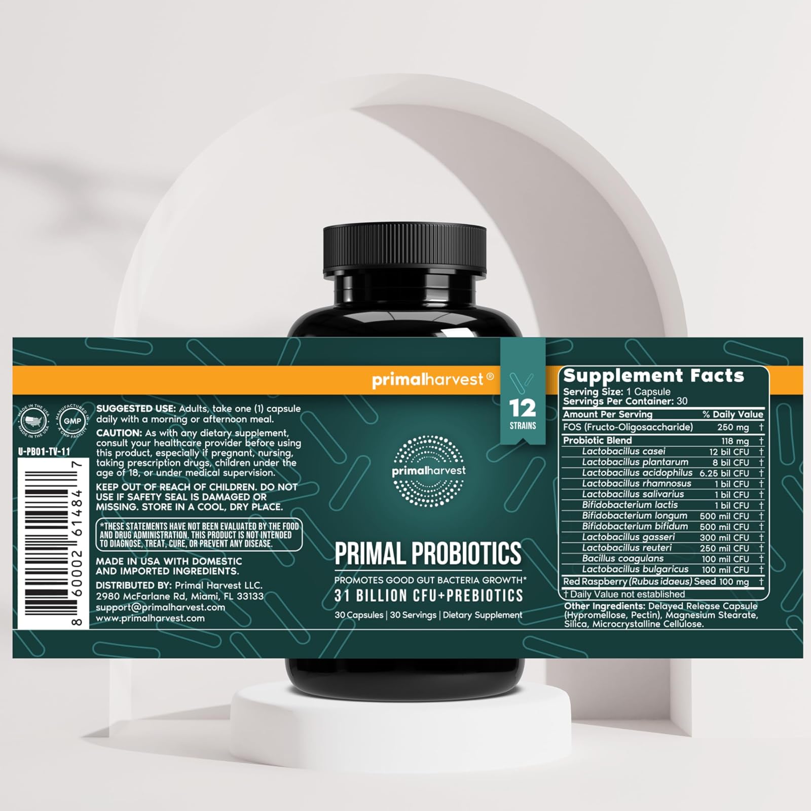 daily probiotic supplement for gut wellness