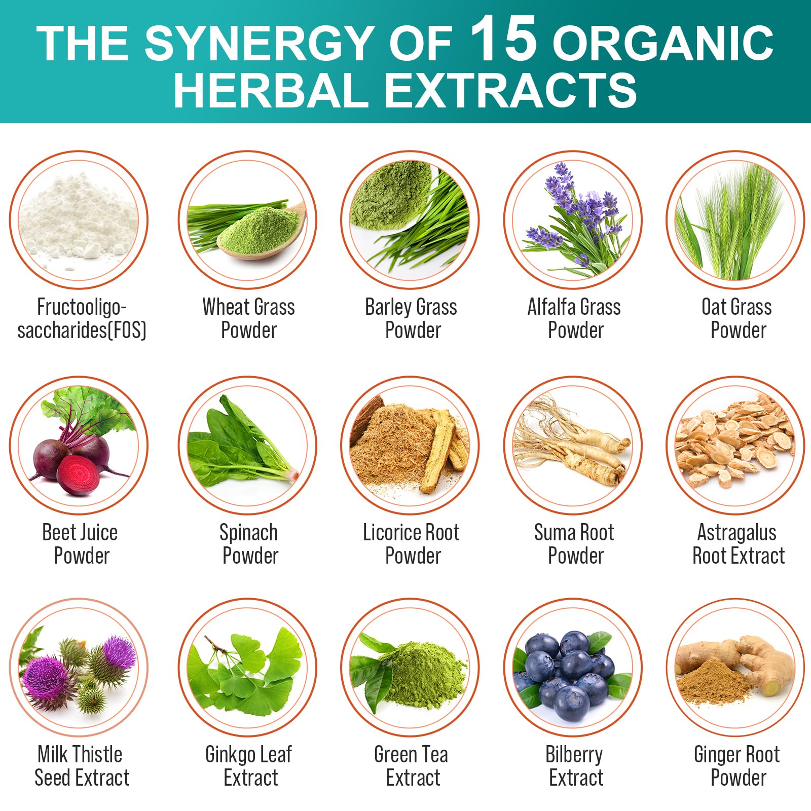 daily probiotic supplement for wellness