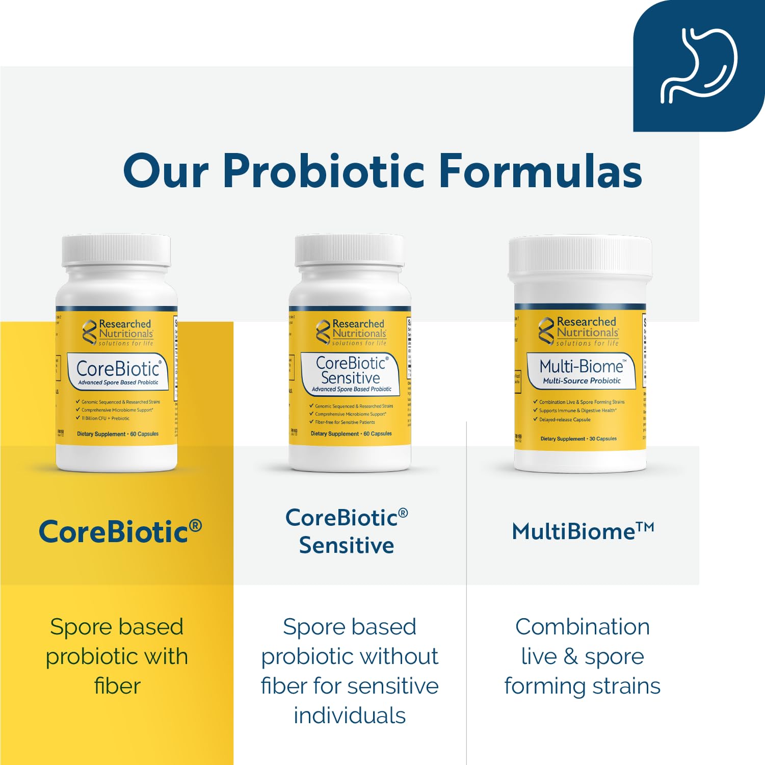 daily probiotic supplement for wellness