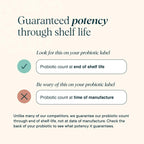 daily probiotic supplement for wellness